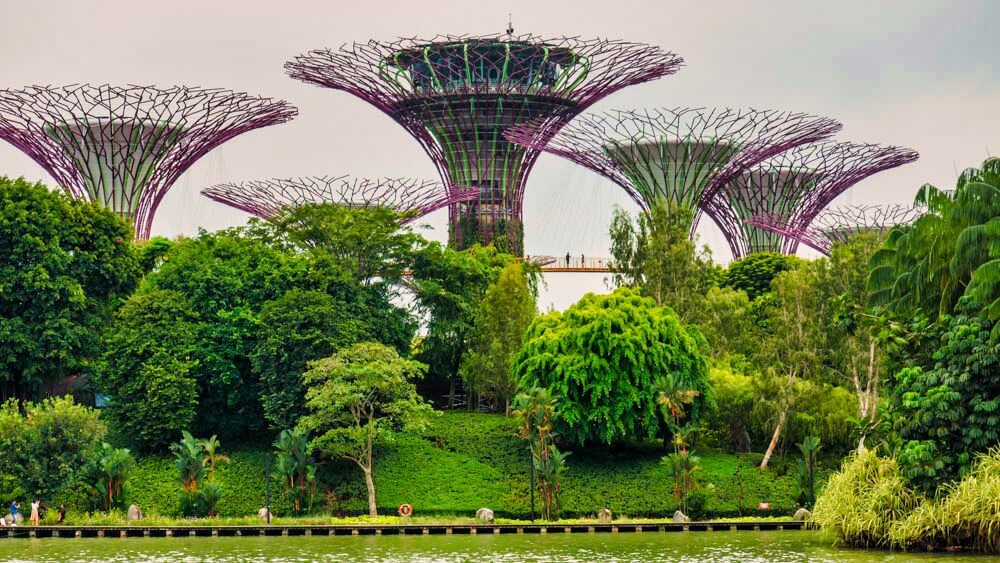 Jardines De La Bah a Gardens By The Bay Qu Ver Horario Precio Jardines De La Bah a Gardens By The Bay Qu Ver Horario Precio