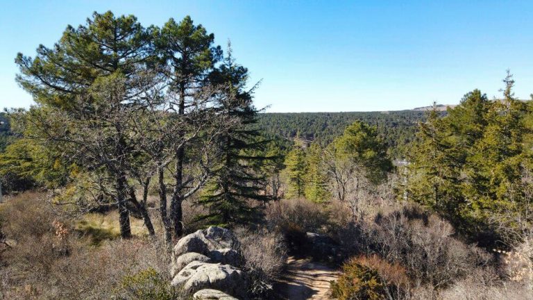 Todo sobre Las Navas del Marqués - Qué ver, hacer y visitar