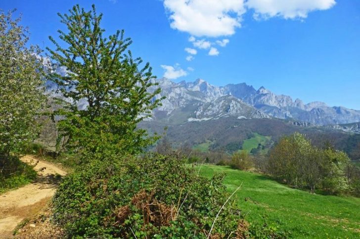 Todo sobre Mogrovejo - qué ver, comer, historia, cómo llegar