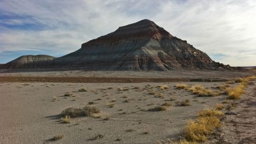 Todo sobre el Bosque Petrificado, Arizona - qué ver, rutas, horario, precio