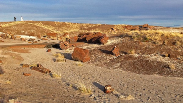 Todo sobre el Bosque Petrificado, Arizona - qué ver, rutas, horario, precio